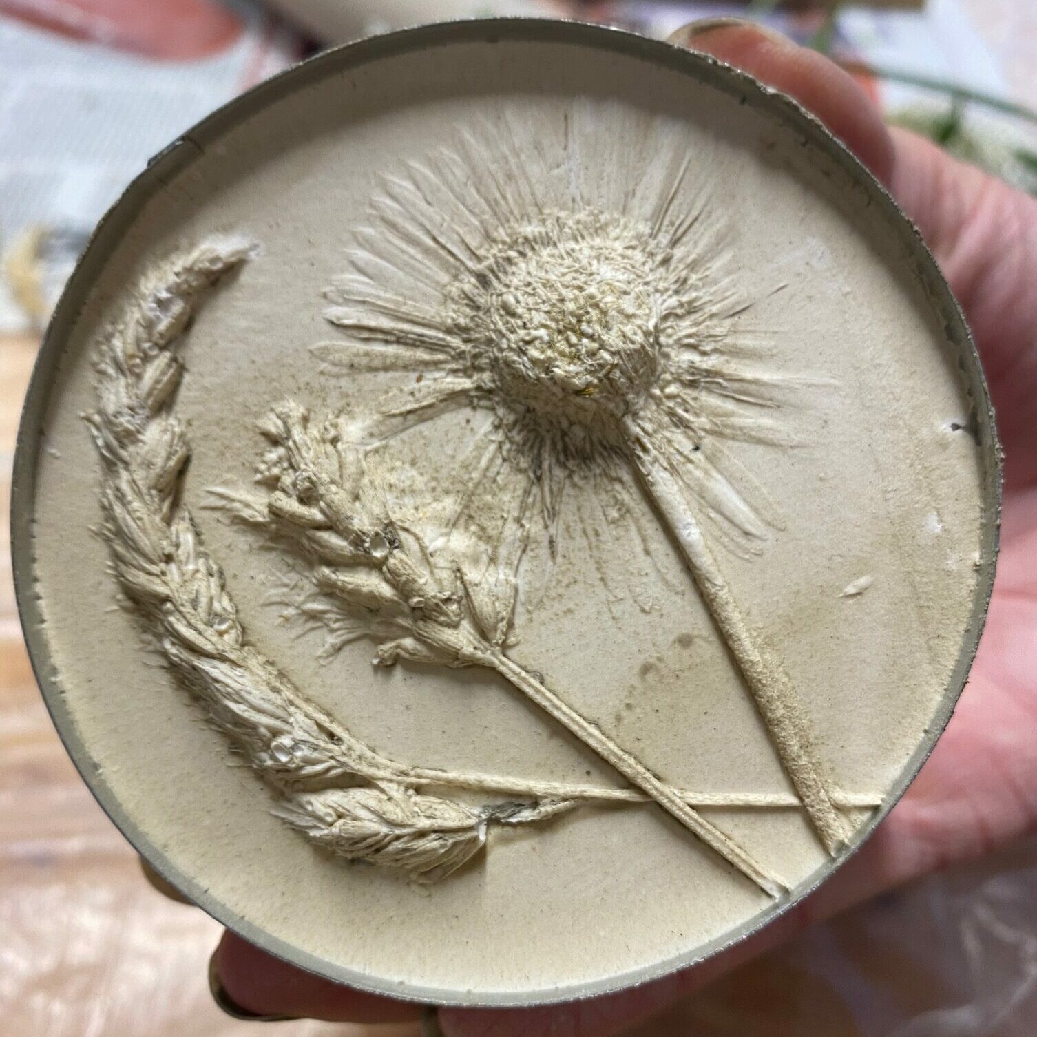 Botanical Plaster Casting | The Clay Studio | Ceramics, Classes ...