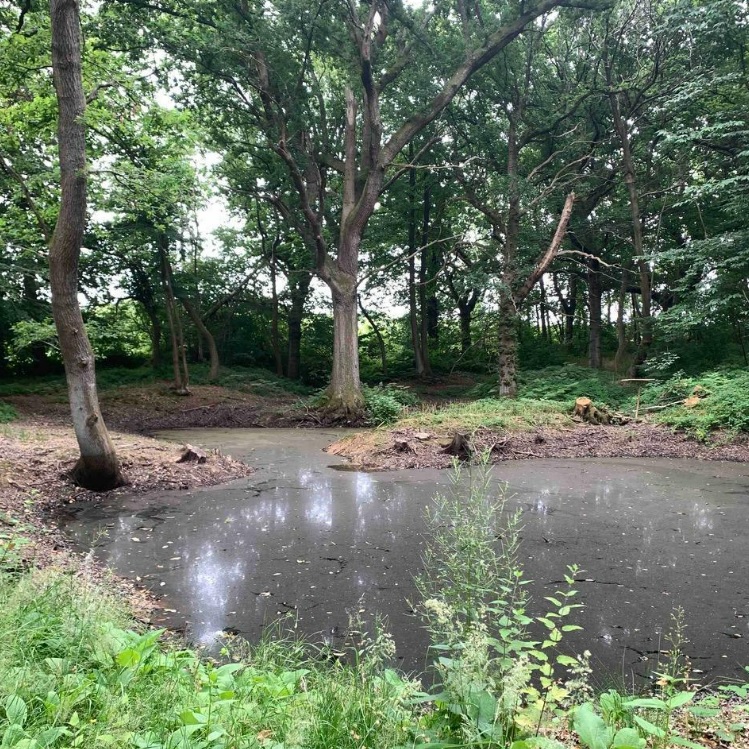 Pathways Art Trail: 2 - 18 June | The Clay Studio | Ceramics, Classes ...